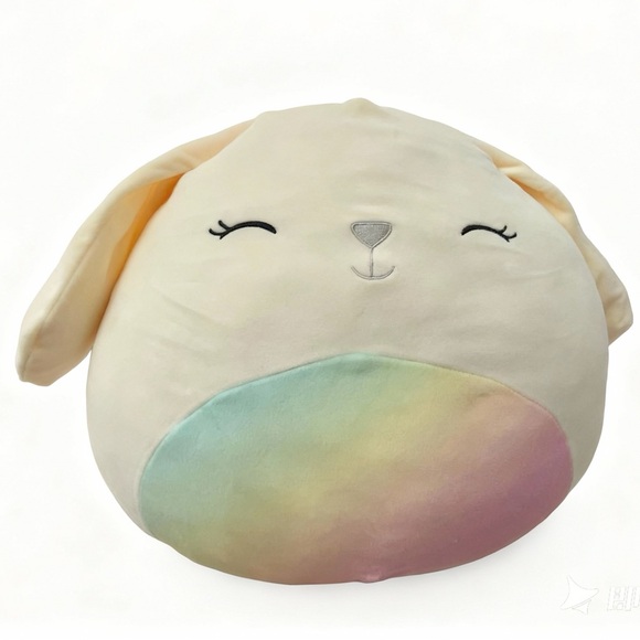 Squishmallows | Toys | 2 Squishmallows Robyne The Rabbit Plush Toy With ...